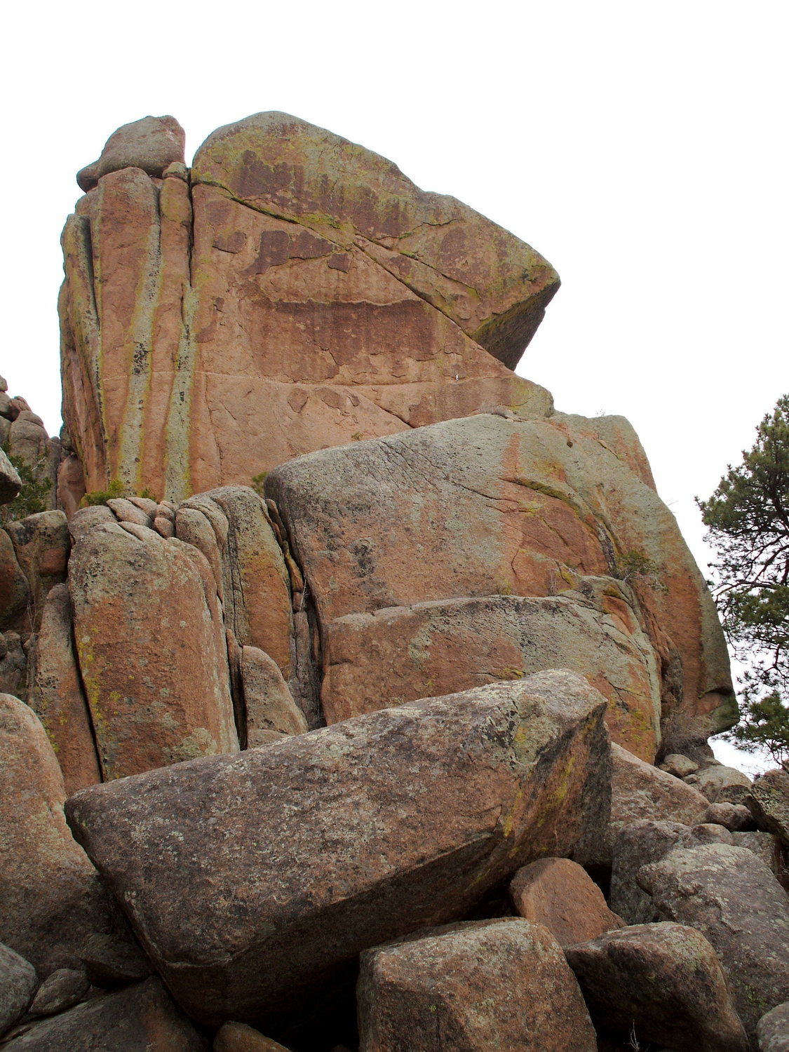 The turkey in the rocks, Turkey Rocks, CO. photo: Bob Horan.