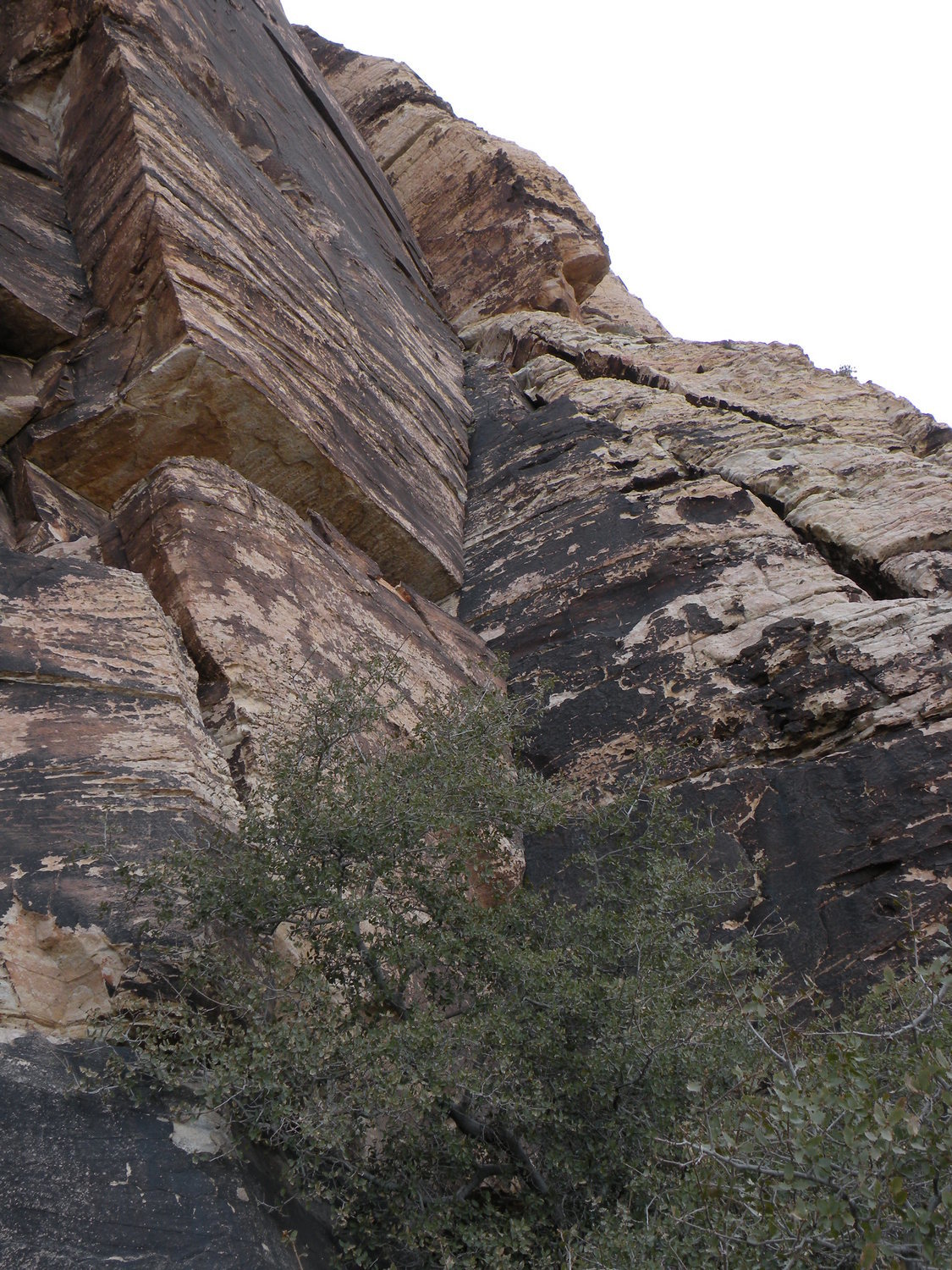 The route takes the left facing corner system in the center of the photo.