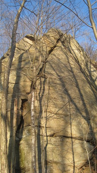 Rock Climb Tree Crack, Western MA