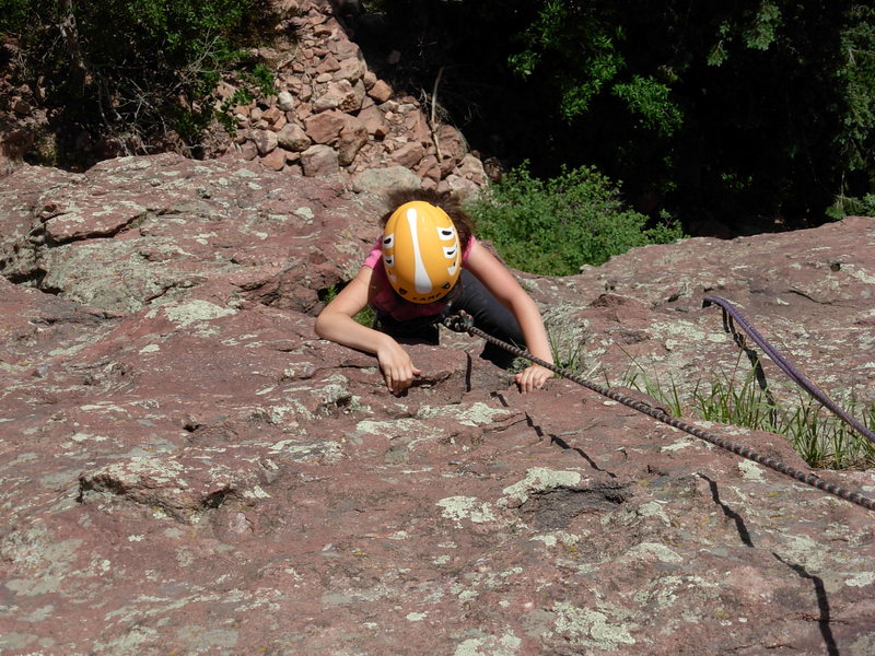 5.2 East Slab of Whale's Tail. There is a belay tree at the 1/2 way ...