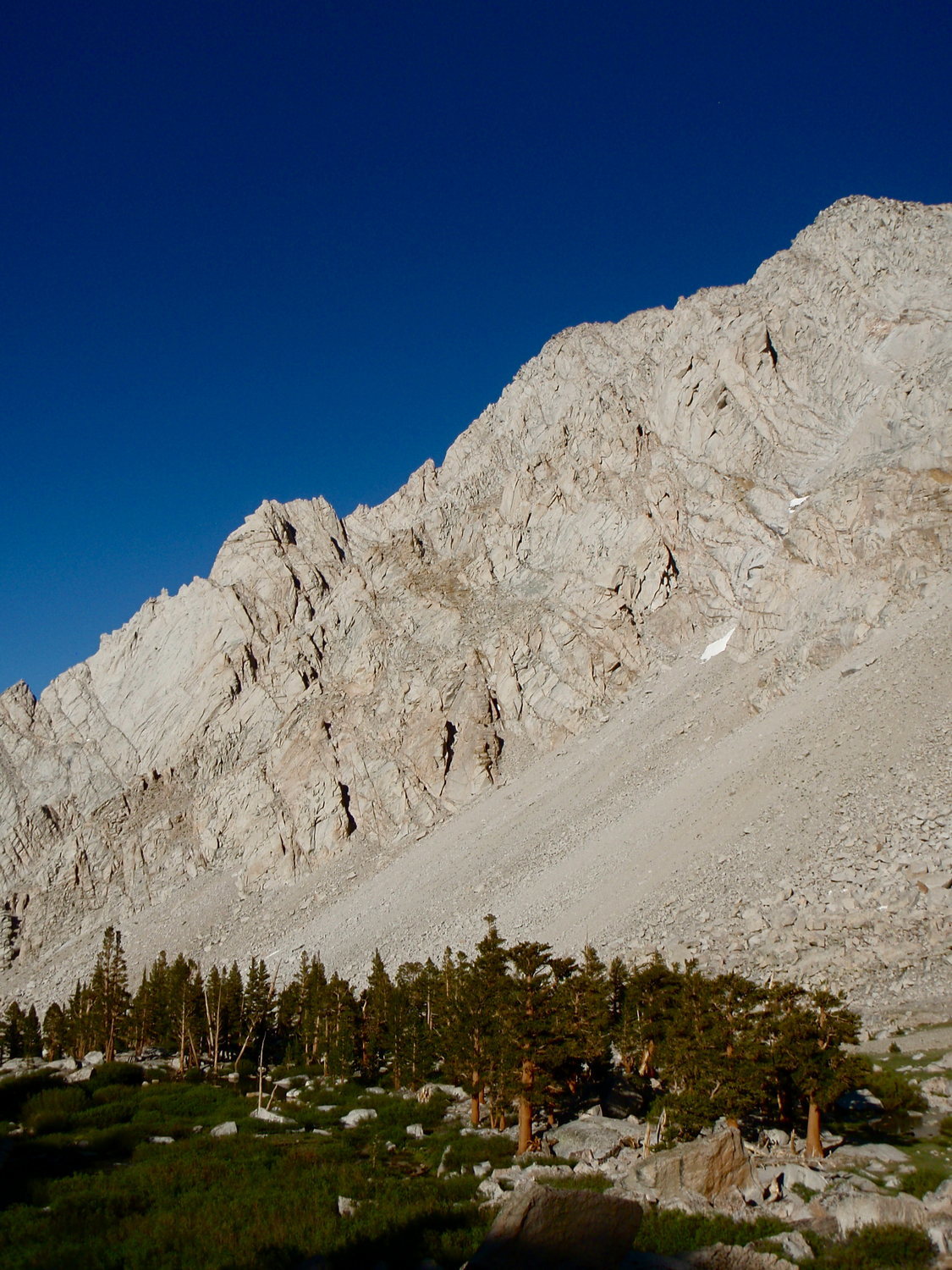 The North Ridge of Lone Pine Peak looming above a beautiful grove of ...