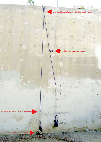 Setup for top-rope soloing with the Petzl Basic ascender.