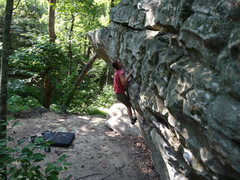 Lisa Cecchini Horse Pens 40 Photo by Jarred Cleerdin
