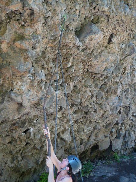 5.) With extra rope slack through the rope carabiner, gently lift The ...