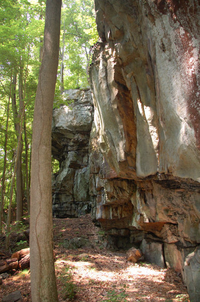 Looking toward the left side of the cliff at Bruner Run crag in ...