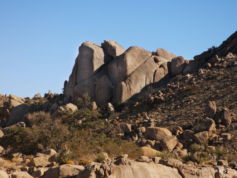 Rock Climbing in Desert Queen Mine, Joshua Tree National Park