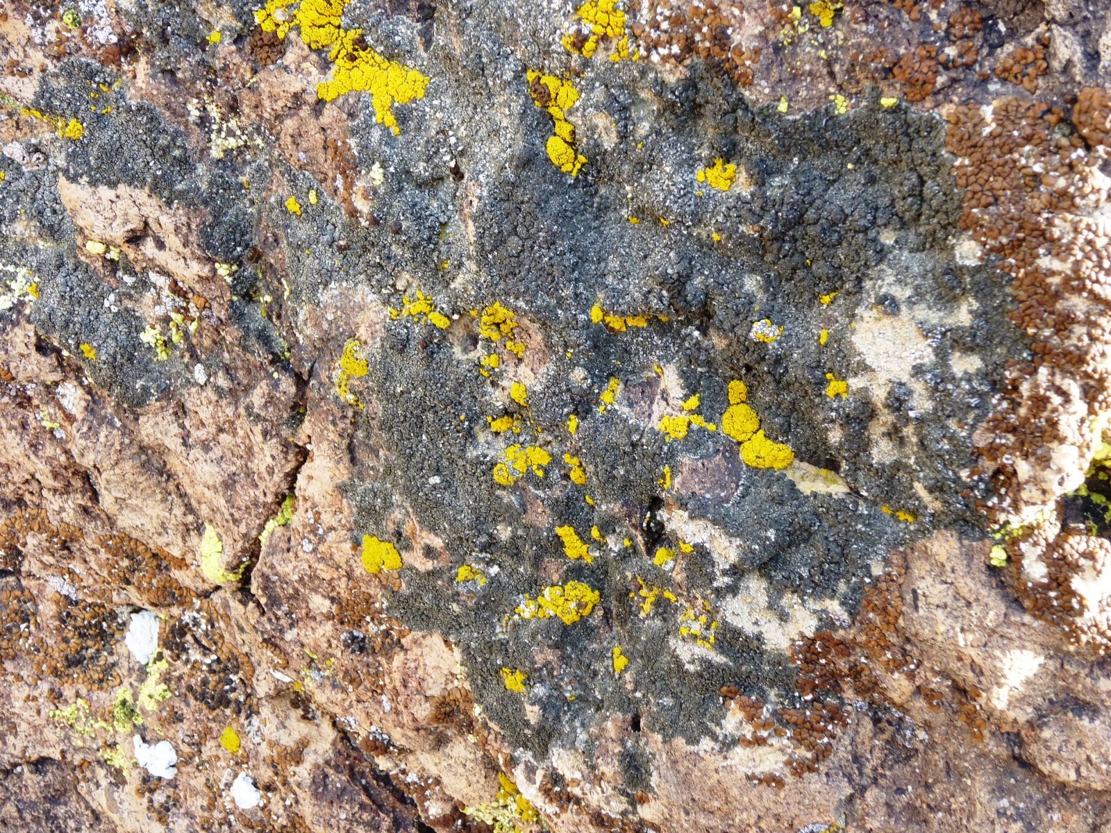 Sad Rock