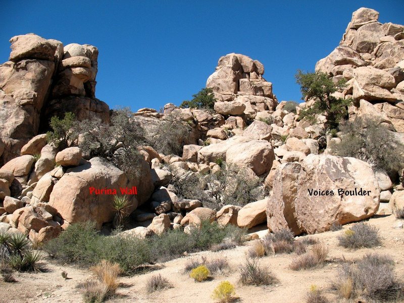 Bouldering in Purina Wall, Joshua Tree National Park