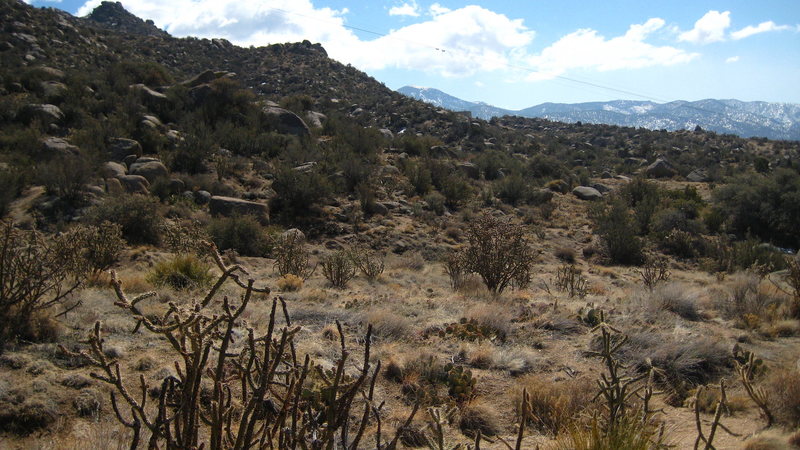 Climb Scrapula, Albuquerque Area