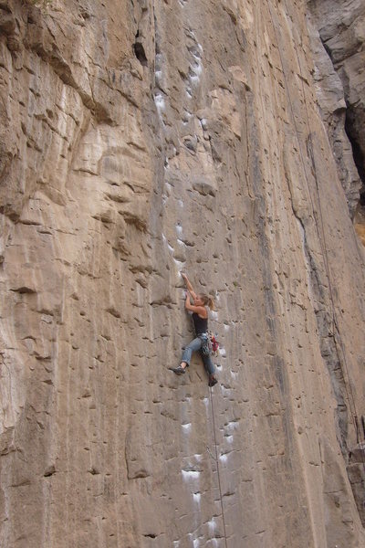 Monica leading Pick Pocket