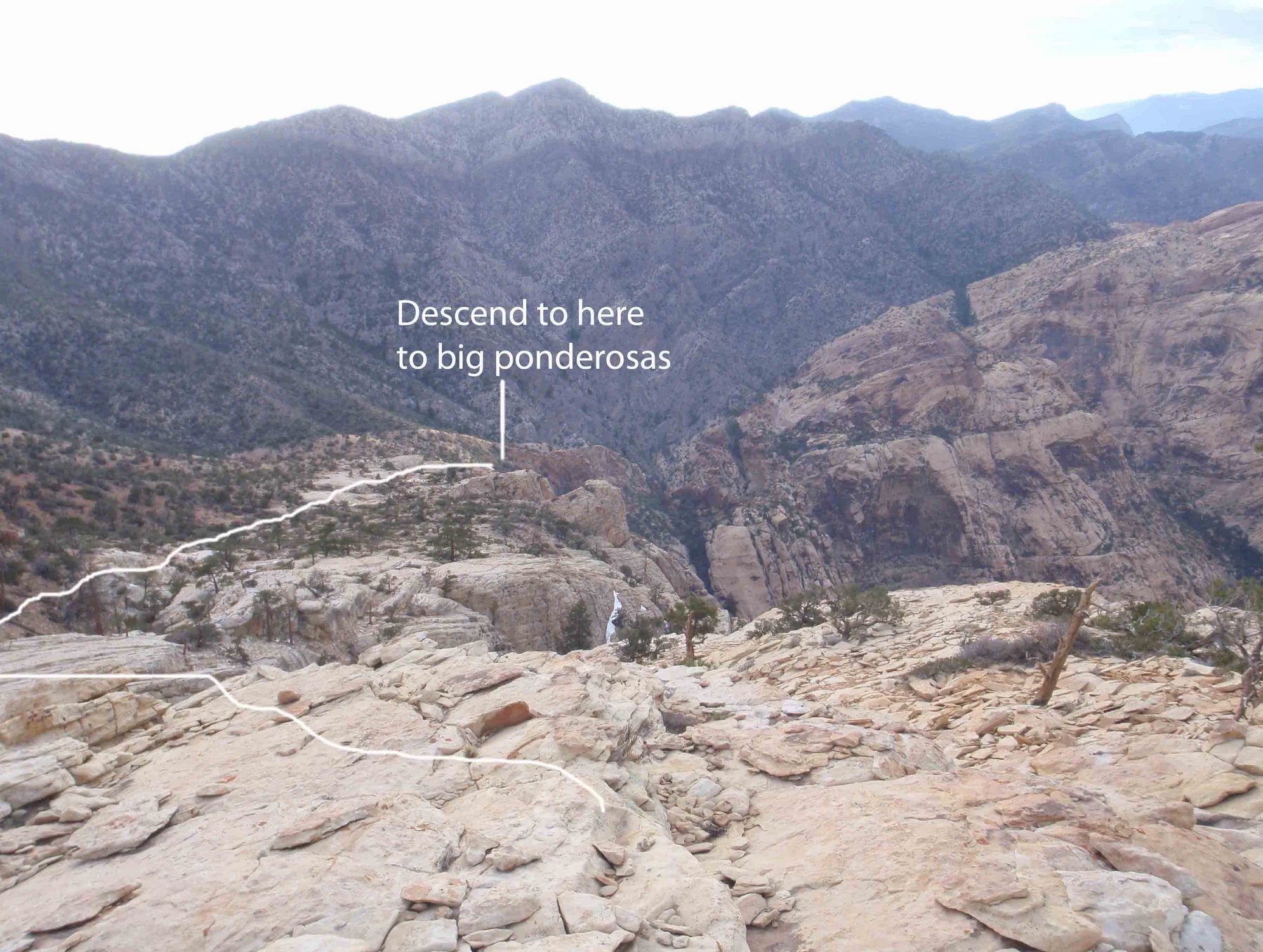 Descend down the ridge a long ways to the final red rock ridge (you'll ...