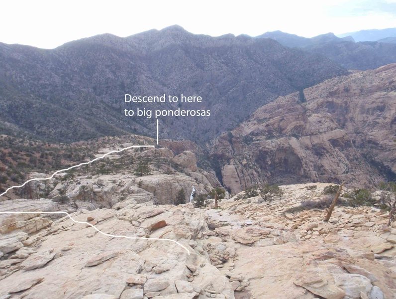 Descend down the ridge a long ways to the final red rock ridge (you'll ...