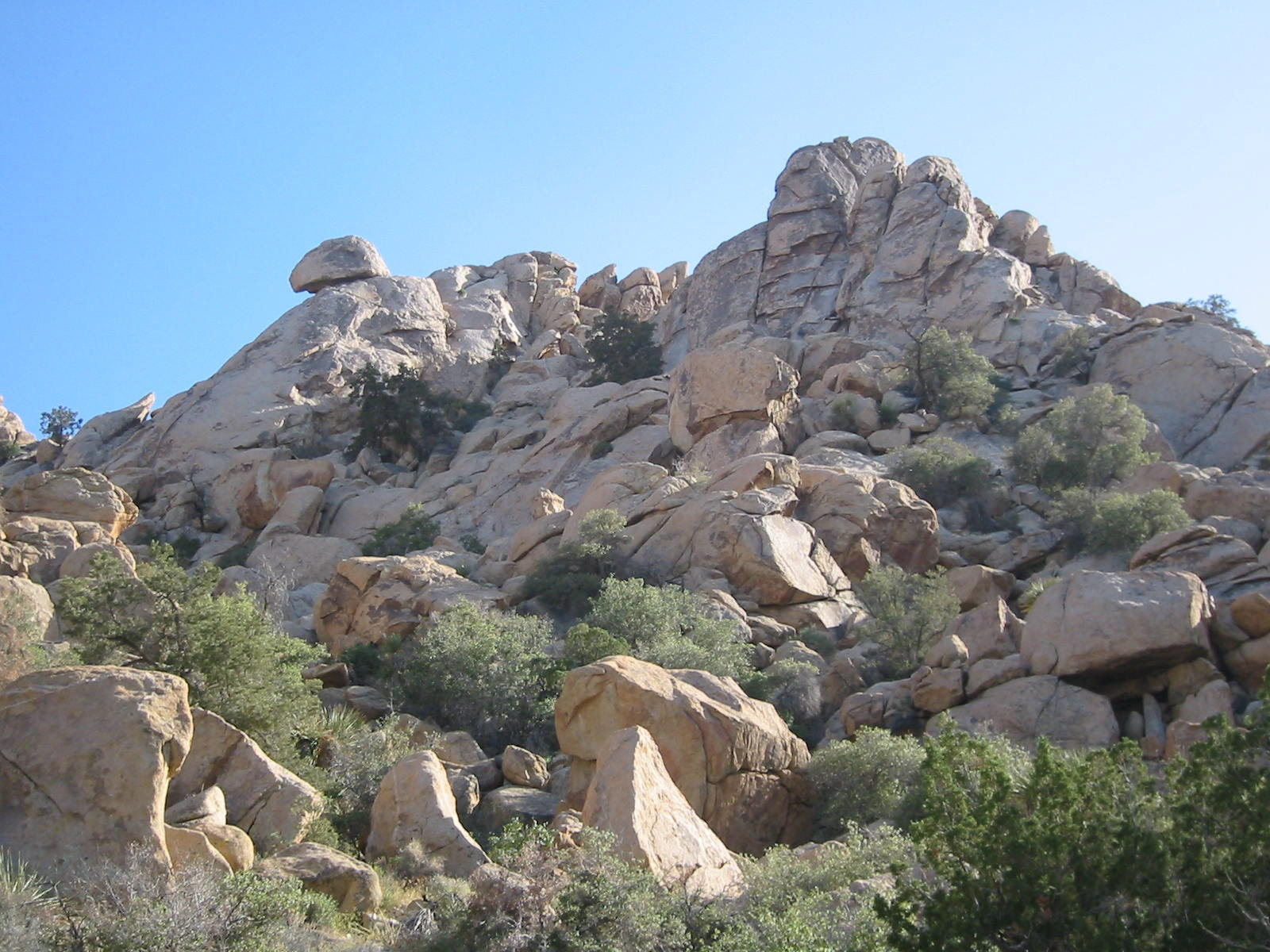 J.E.M. is on the left formation, and the Lil' Climber Chick and Yvonne ...