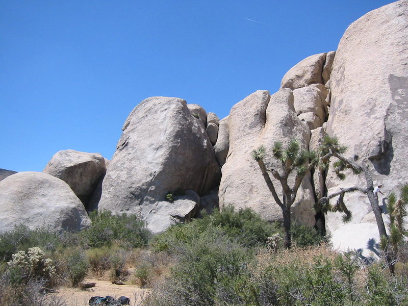 Rock Climb Barking Spiders, Joshua Tree National Park