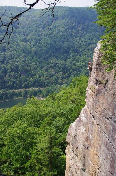 Katherine Marek cleaning Party in my Mind on a beautiful day in the New ...
