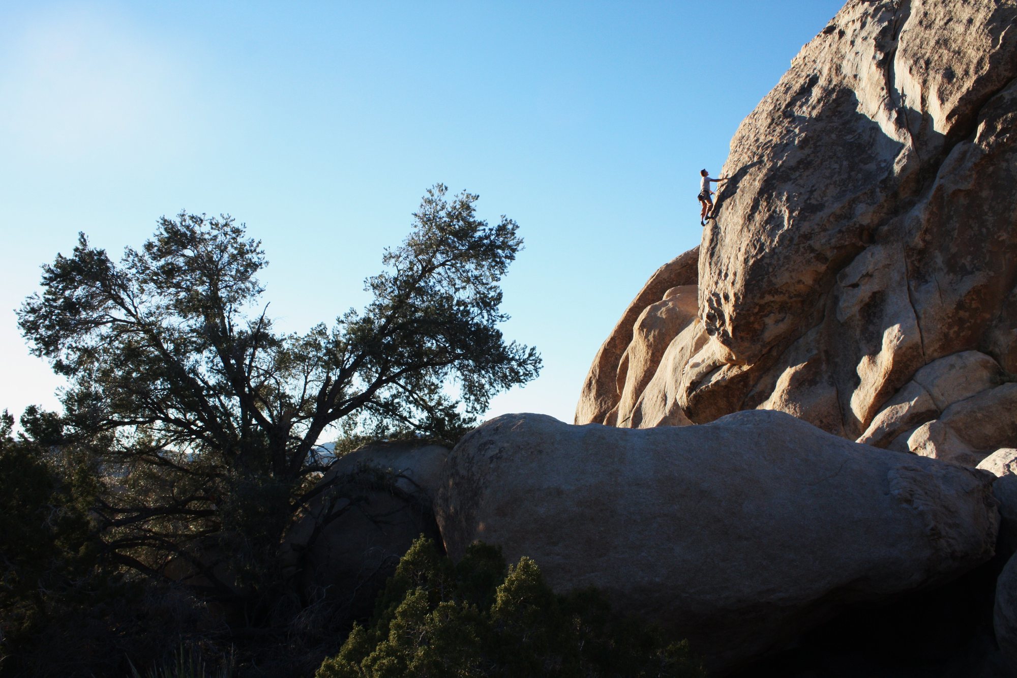 Bryan Ferris on Garden Angel. Photo - Joseph Lascurain