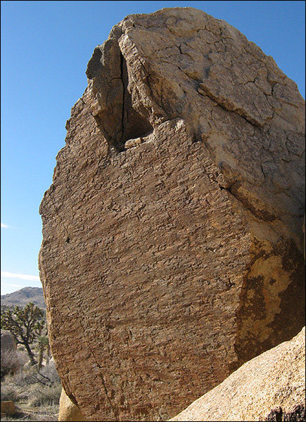 Climbing in Penguins Boulder, Joshua Tree National Park