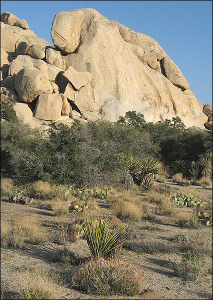 Rock Climbing in Surprise Rock, Joshua Tree National Park