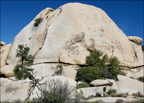 Rock Climbing in Pringle Rock, Joshua Tree National Park