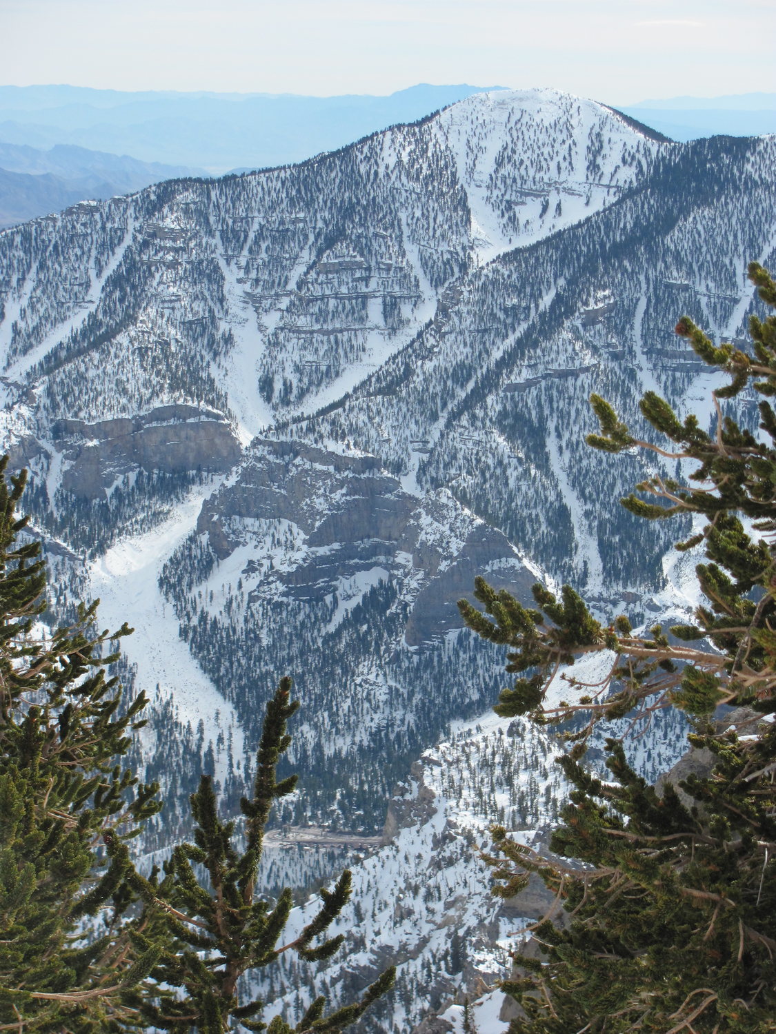 Here's a picture of the N gully on Griffith taken from the top of Mummy ...