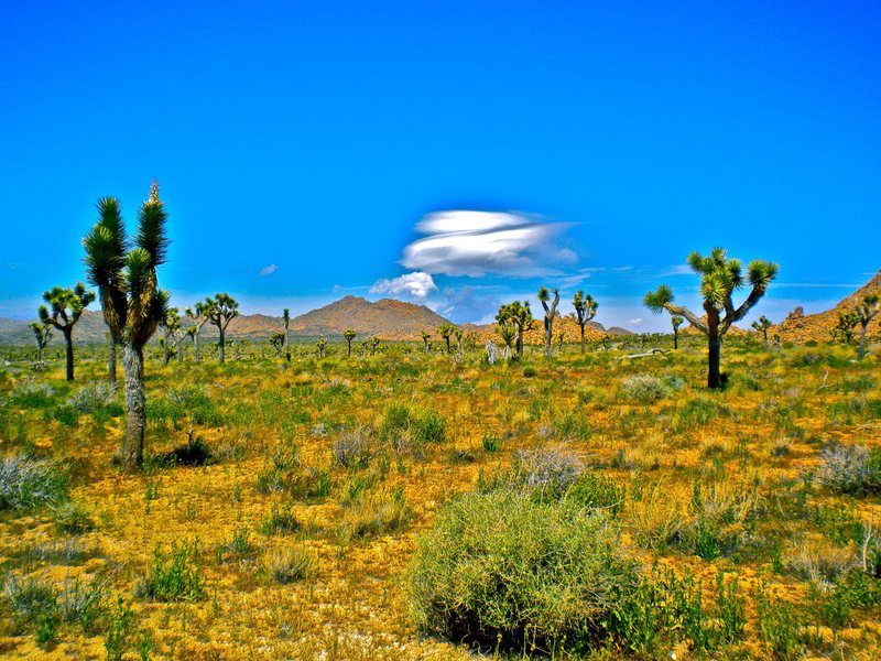 Looking north on a windy spring day.
