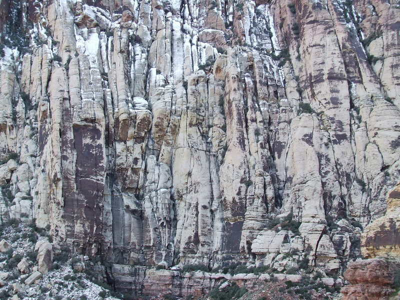 Lotta Balls Wall, Alchohol Wall, Romper Room, Rising Moons