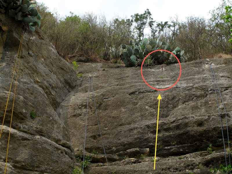 ACK! and its respective chain anchor (Circled in red). LEFT TO RIGHT ...