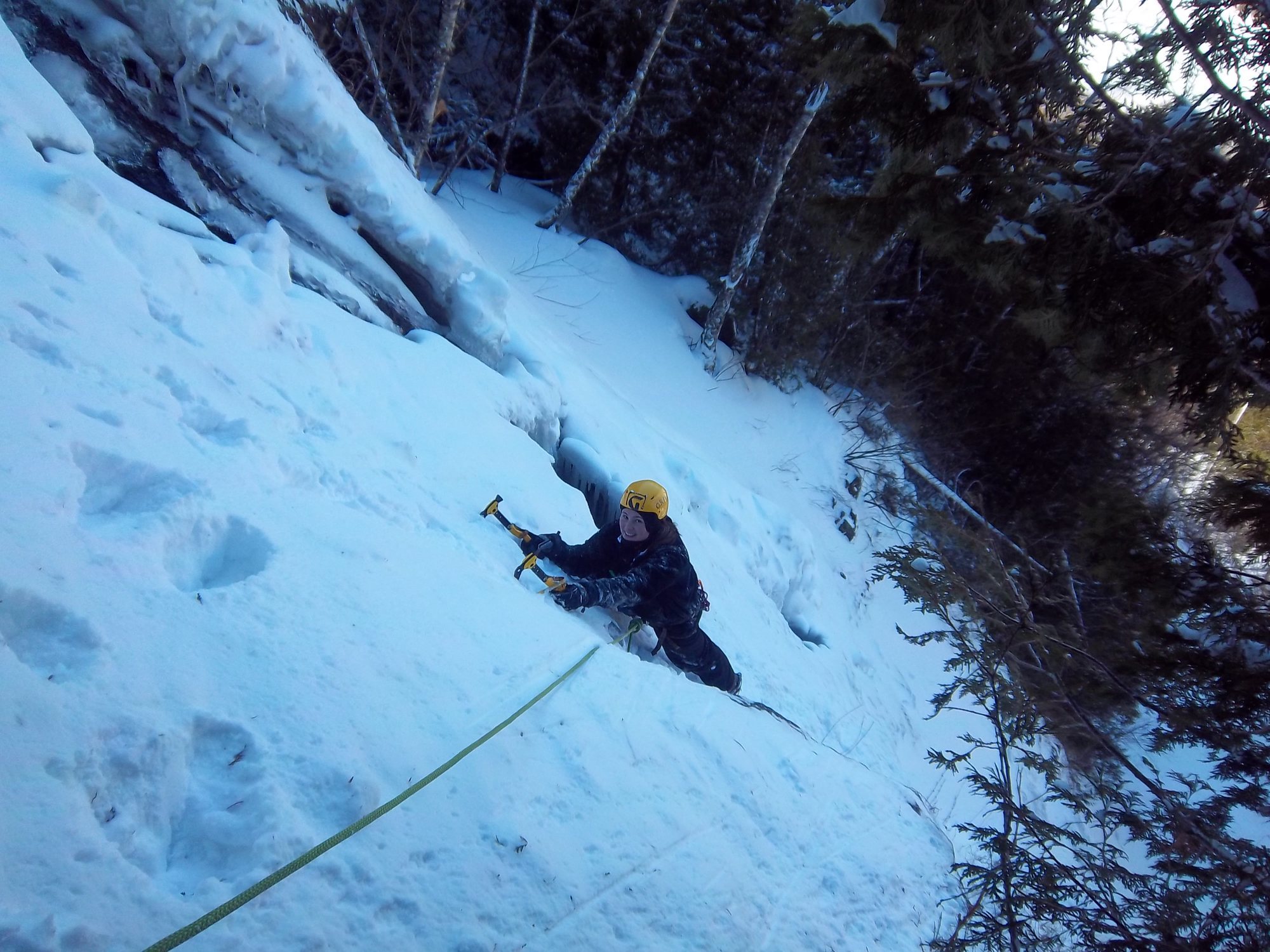 Melissa Feldmann follows P1 of The Cascade(NEI 2).
