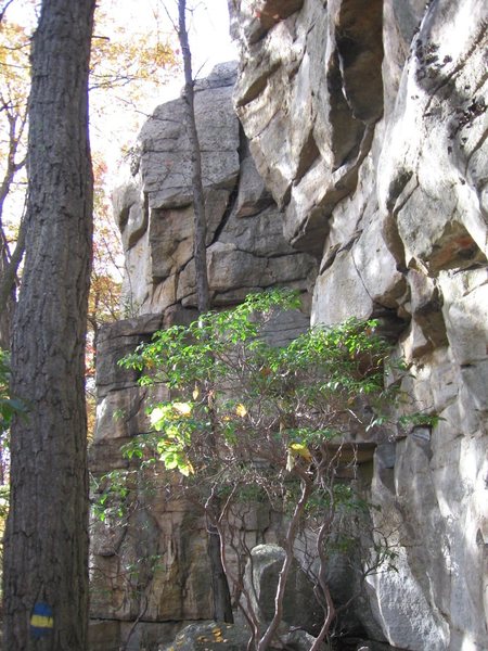 Rock Climb Monkey Face, The Gunks