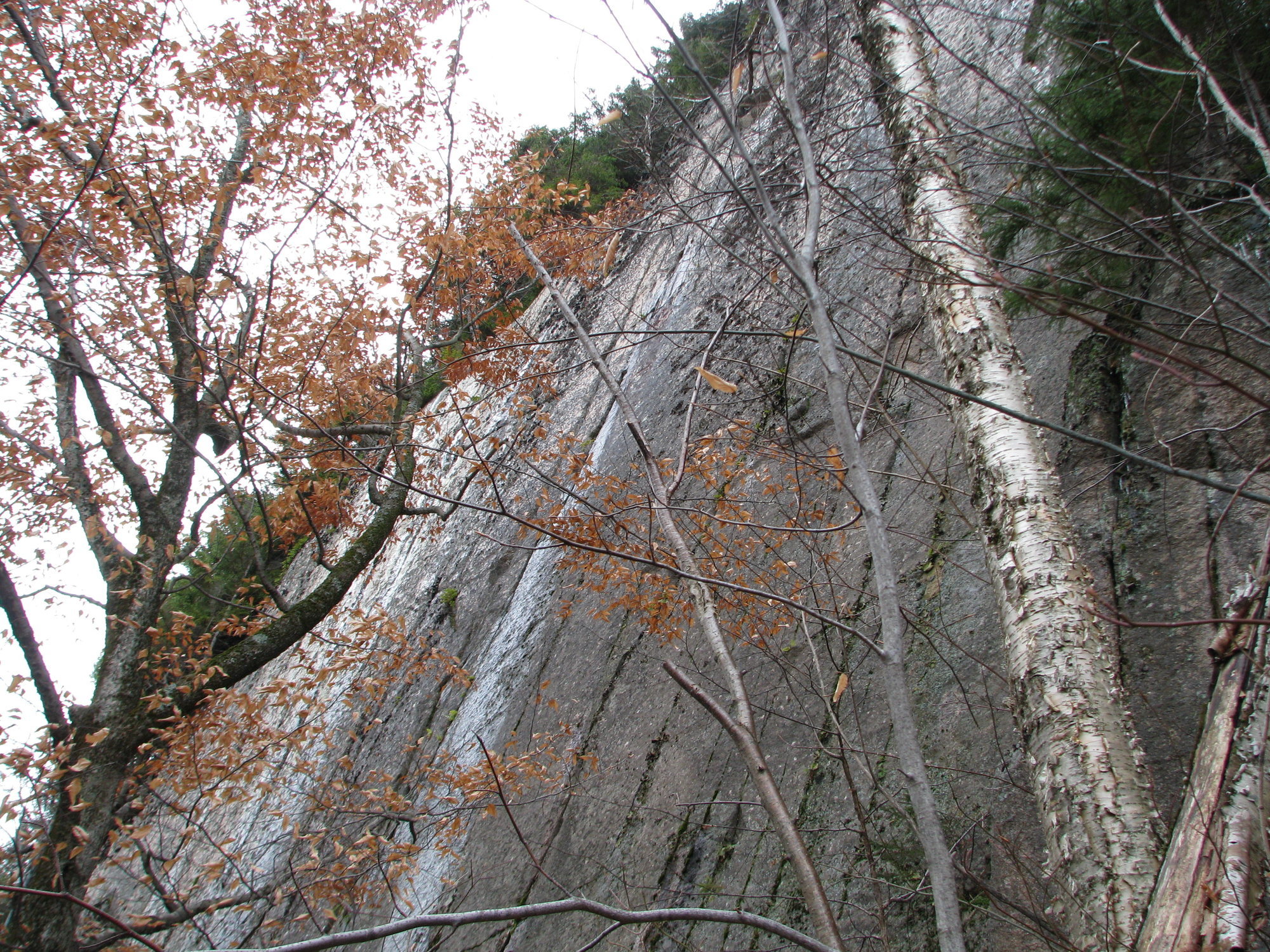 Part of the Premarital Wall - It looks nasty here, all wet, but it is ...
