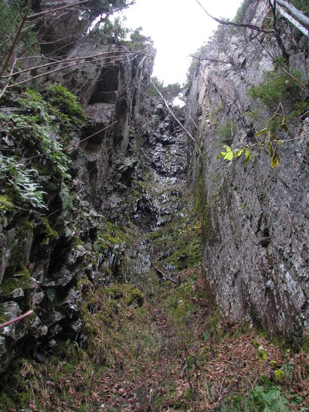 The Green Gully This is a very foreshortened image of the big green ...