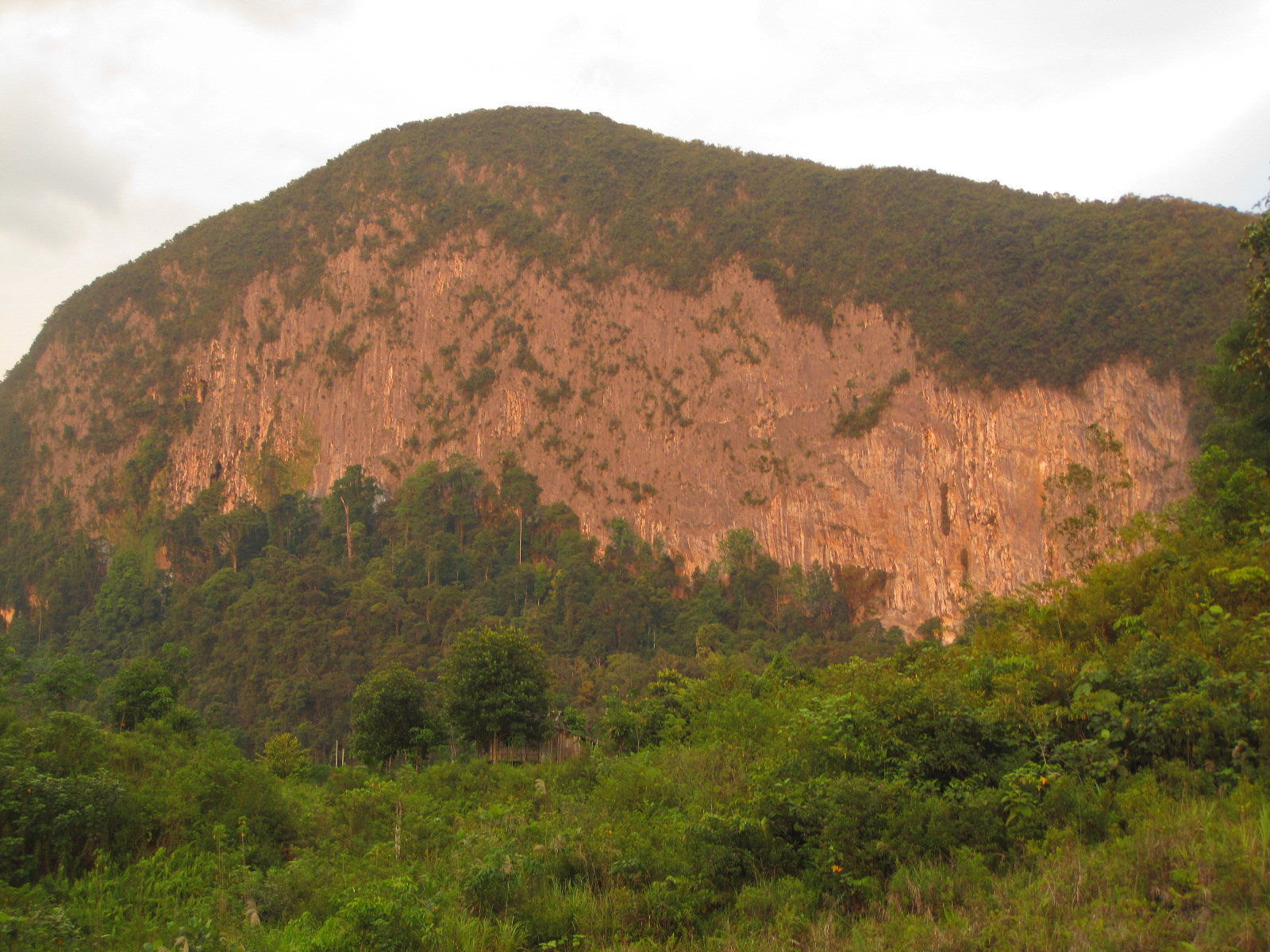 Undeveloped limestone wall, Gunung Staat, near our house. Bau, Sarawak ...