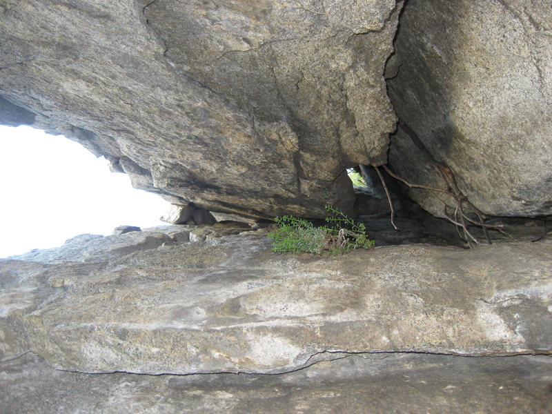Rock Climb Pygmy Pillar, Yosemite National Park