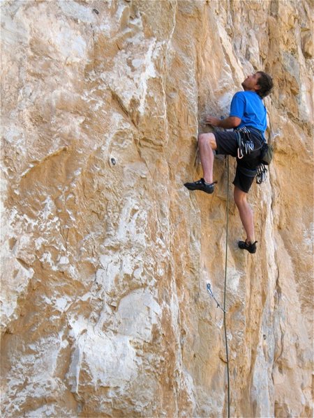 Scott Briley on the start of Cruise It Or Lose It.