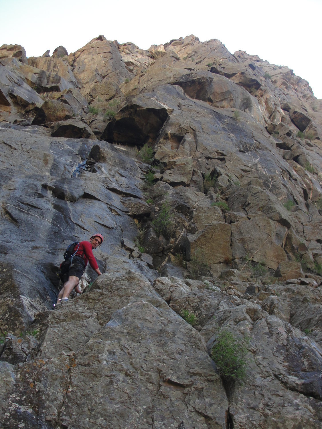 Ben Collett at the start of The World According to Guppy.