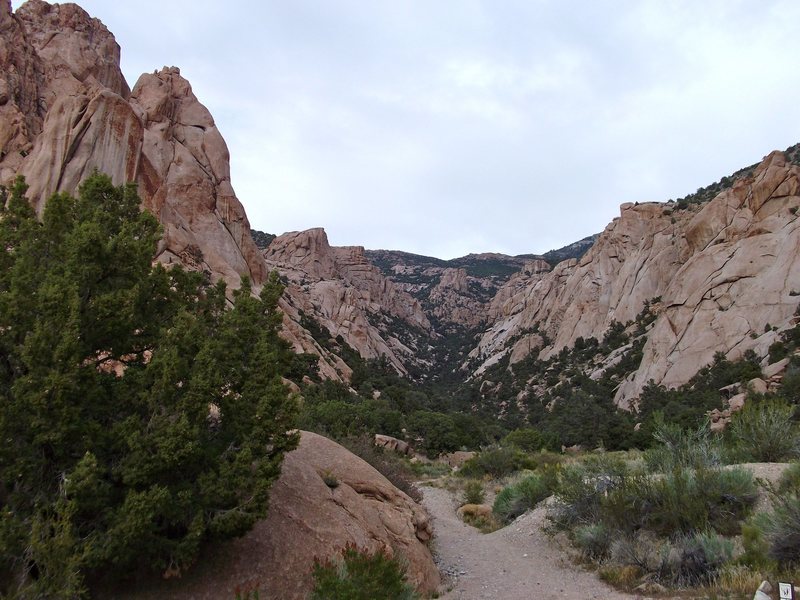 West Sawtooth Canyon granite.