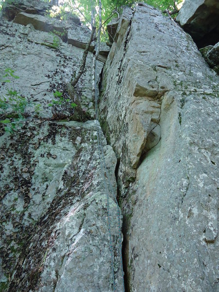 Rock Climb Tree Hugger, Lost Wall