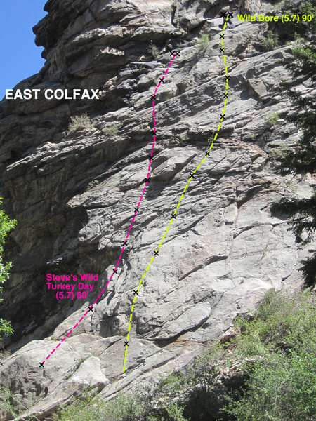 Rock Climb Wild Bore, Golden