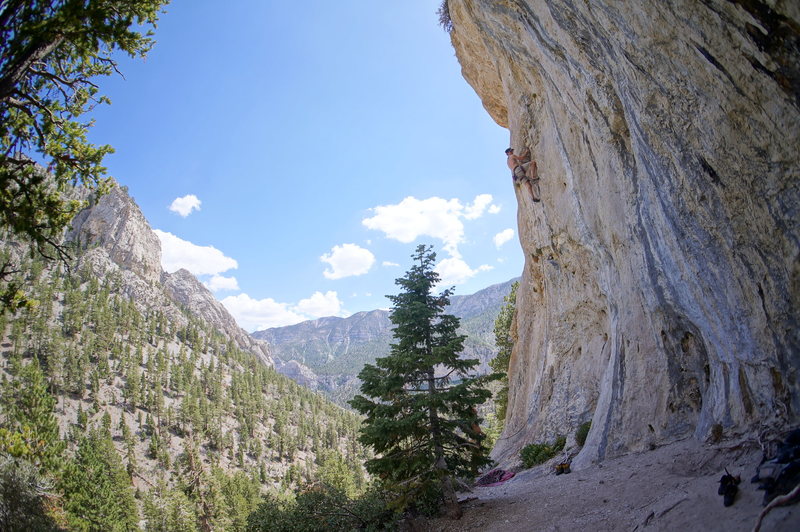 Rock Climbing in Pine Tree Ledge, Mount Charleston