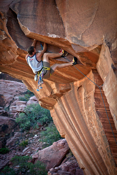 Tenaya Climbing Shoes