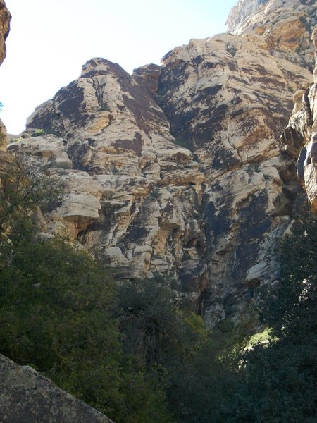 Rock Climbing in Creature Feature Area, Red Rocks