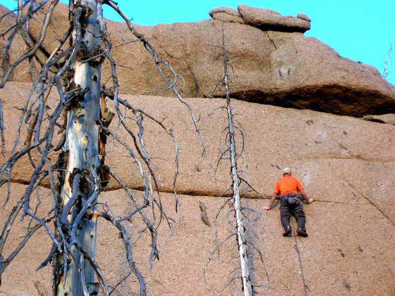 Rock Climb Ladder Made Of Thorns, Steamboat Springs