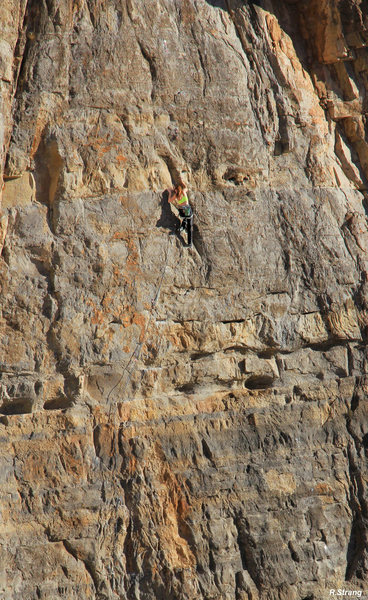 Rock Climb Mega Man, Truth or Consequences Area