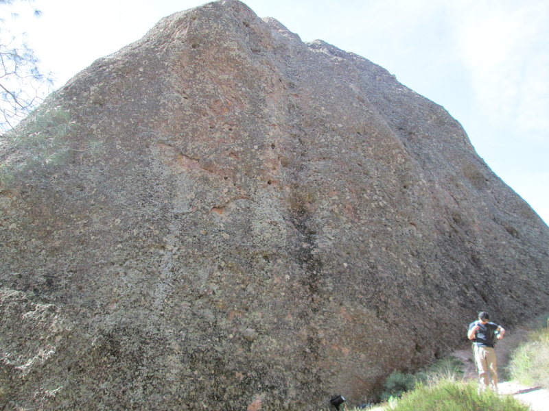 Rock Climbing in The Sponge, Central Coast
