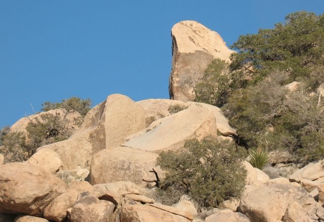 Rock Climbing in Cockroach Crag, Joshua Tree National Park