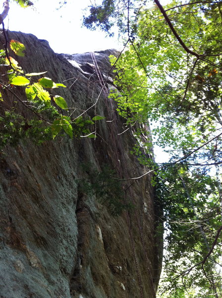 Rock Climbing in Mattatuck State Forest, Western Highlands