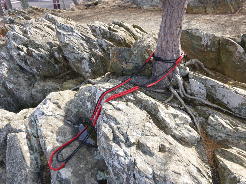 Tree anchor point above large crack. Good anchors are few and far ...