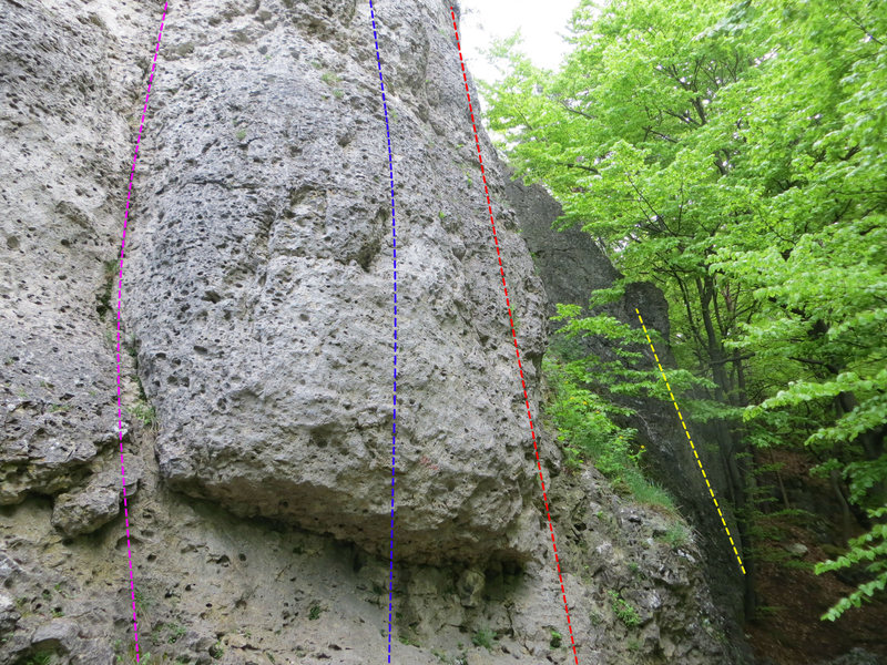 Rock Climbing in Weiße Wand, Frankenjura
