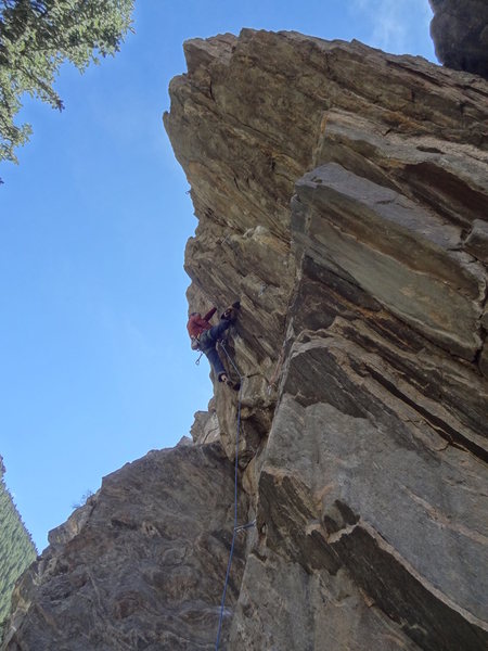 Rock Climb Suspended Sentence, Golden