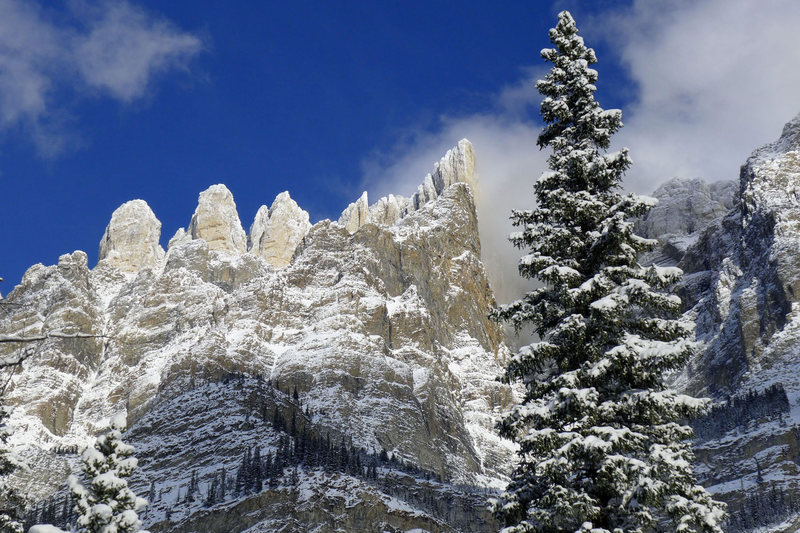 Climbing in Mount Wilson, Alberta